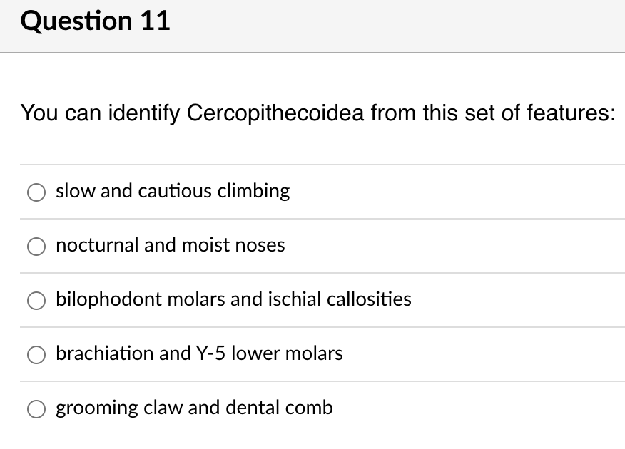 Solved You can identify Cercopithecoidea from this set of | Chegg.com