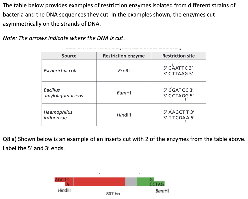 Solved The table below provides examples of restriction | Chegg.com