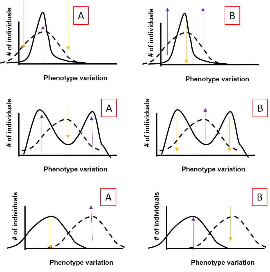 For each of the following pairs of graphics, identify | Chegg.com