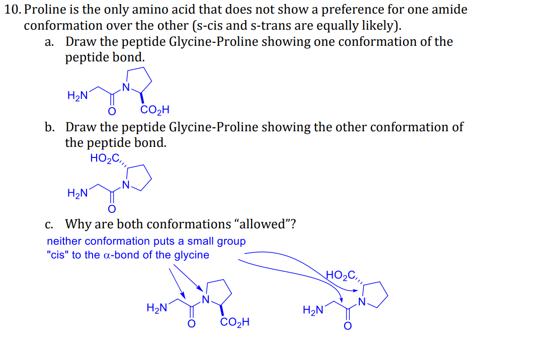Solved Proline is the only amıno acid that does not snow a | Chegg.com