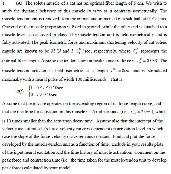 1. (A) The soleus muscle of a cat has an optimal | Chegg.com