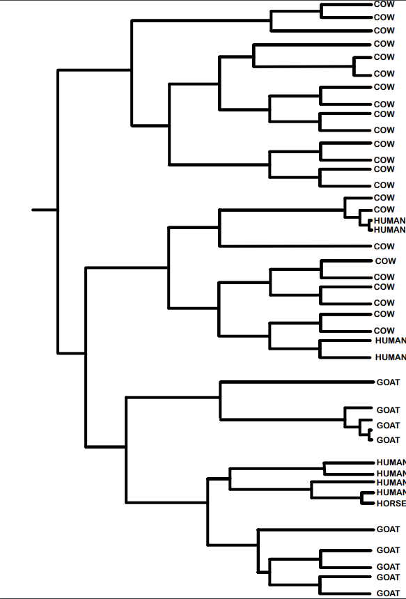 Solved IF IMAGE IS SMALL > RIGHT CLICK > OPEN NEW TAB!!! | Chegg.com