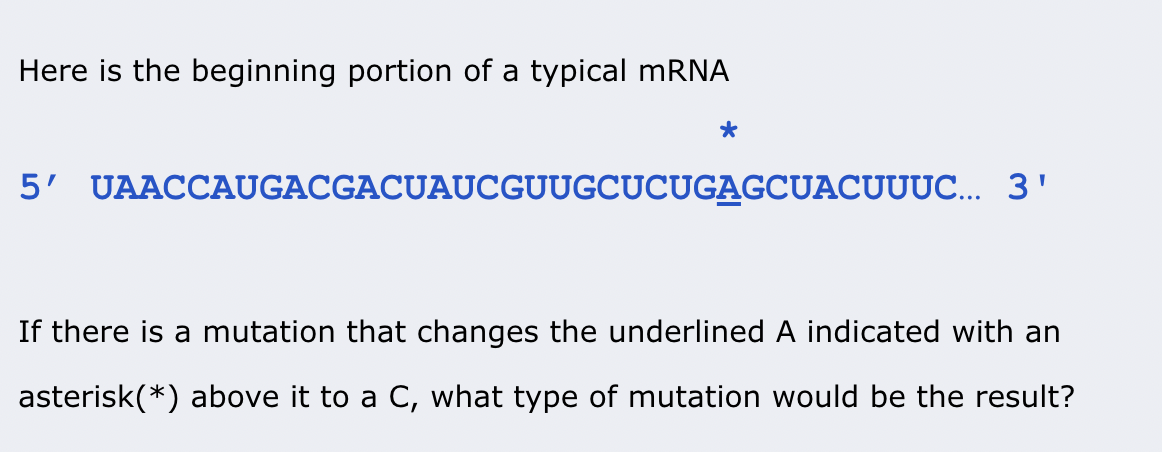 Solved 1 A Silent Mutation B Nonsense 6121