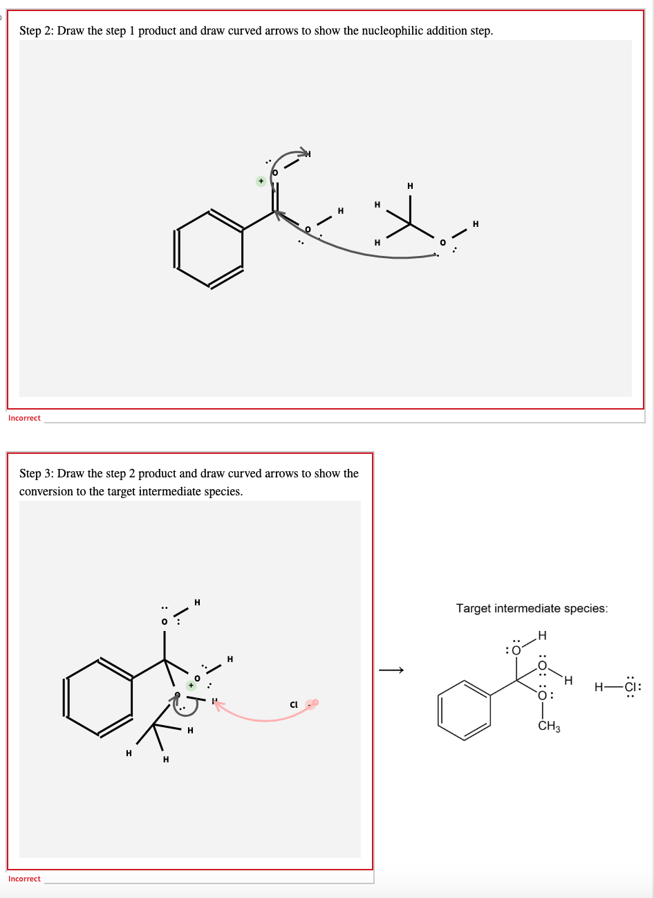 Solved The Fischer esterification mechanism is examined in | Chegg.com