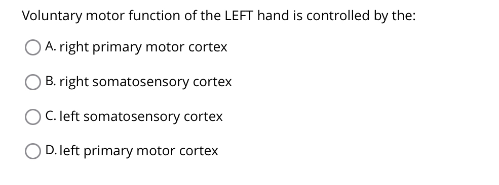 Solved Voluntary motor function of the LEFT hand is | Chegg.com