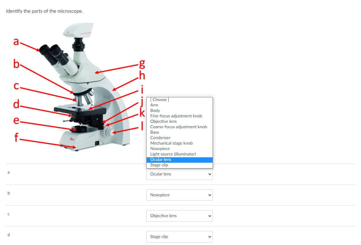 Solved Identify the parts of the microscope. ܢܘ b عمة C d- e | Chegg.com