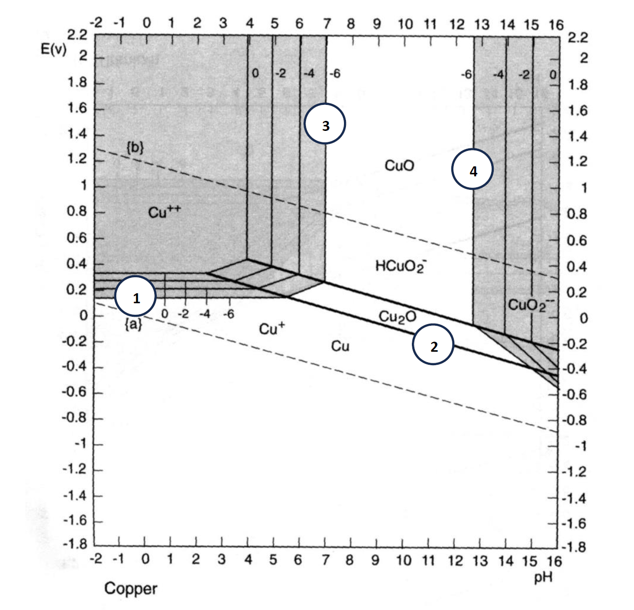 Solved The figure below gives the Pourbaix Diagram of Copper | Chegg.com
