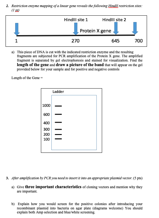 Solved 2. Restriction enzyme mapping of a linear gene | Chegg.com
