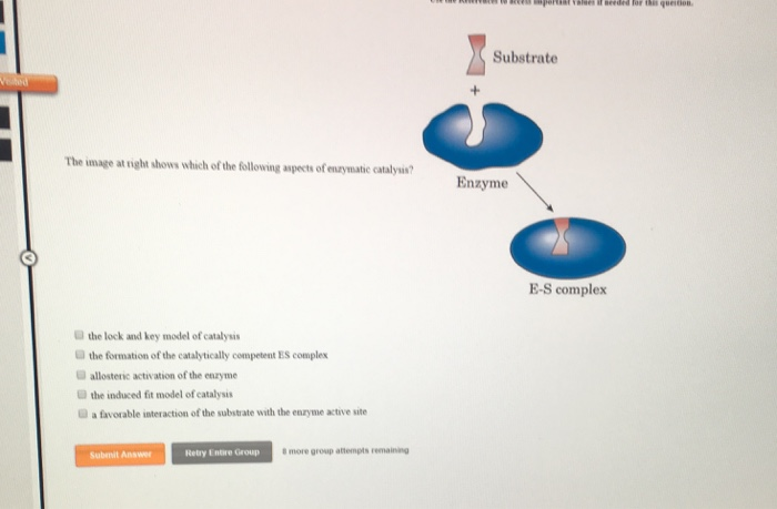 Solved Substrate Active site + The image at right shows | Chegg.com