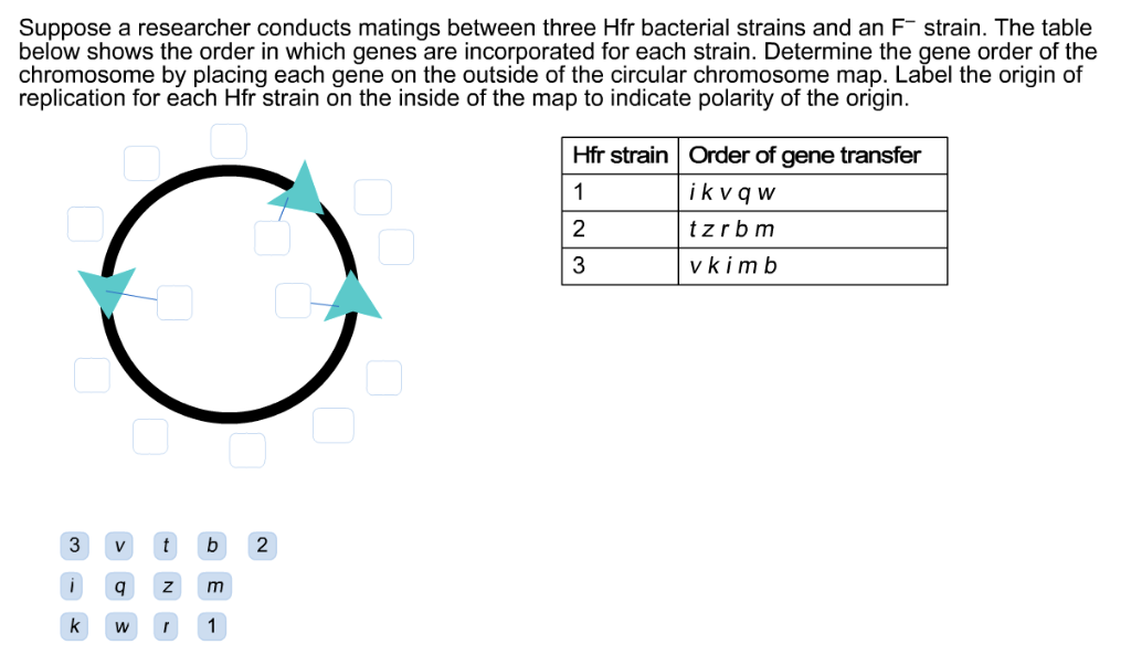 Solved Suppose a researcher conducts matings between three | Chegg.com Solved Suppose a researcher conducts matings between three | Chegg.com