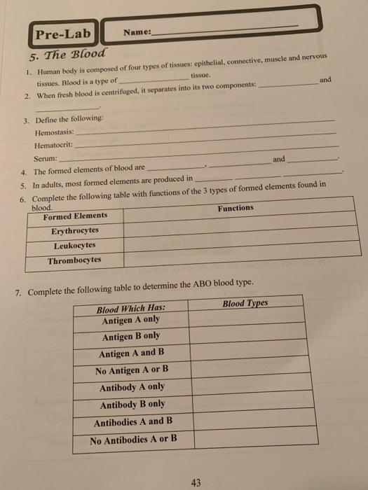 Solved Pre-Lab 5. The Blood 1. Name: Human body is composed | Chegg.com