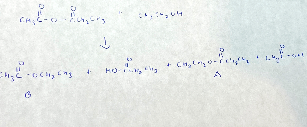 Solved Treatment of acetic propionic anhydride with ethanol | Chegg.com