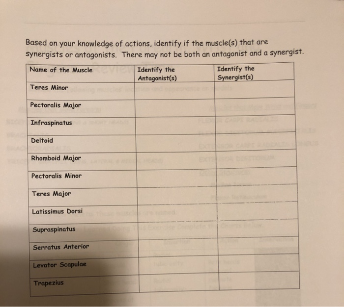 Solved Based on your knowledge of actions, identify if the | Chegg.com