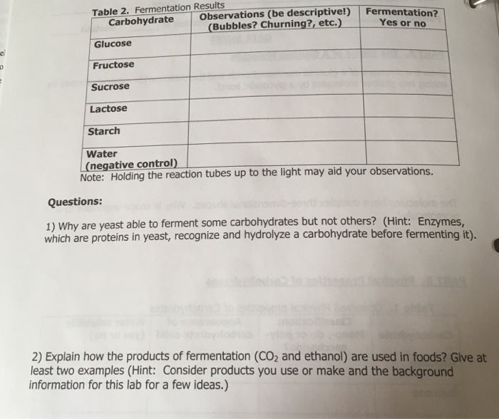 Solved Table 2. Fermentation Results Carbohydrate | Chegg.com