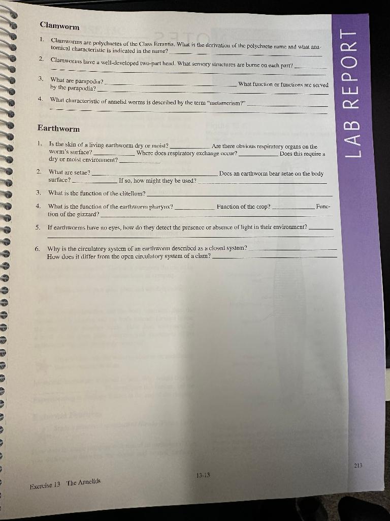 Solved 1. Clatnwortns are polychaetes of the Class Errantia. | Chegg.com