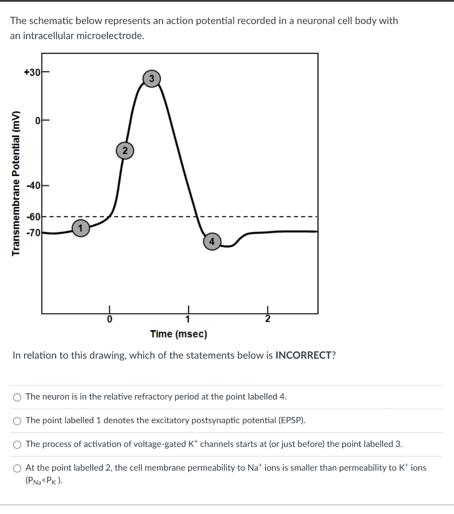 Solved Question 4 0.05 pts Sodium and potassium ions can | Chegg.com