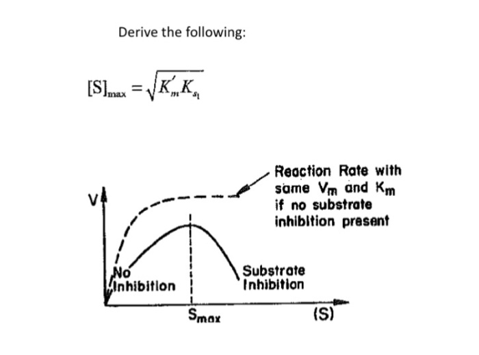 Solved Derive the following: Reaction Rate with same Vm and | Chegg.com