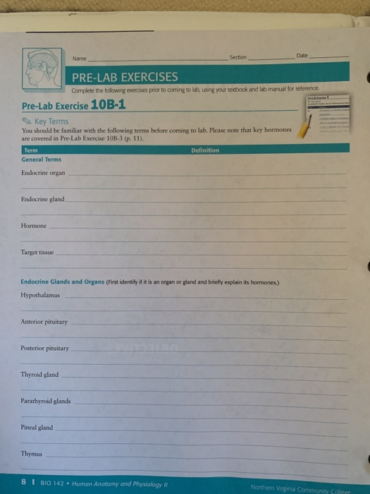 Solved Section Date Name PRE-LAB EXERCISES Complete the | Chegg.com