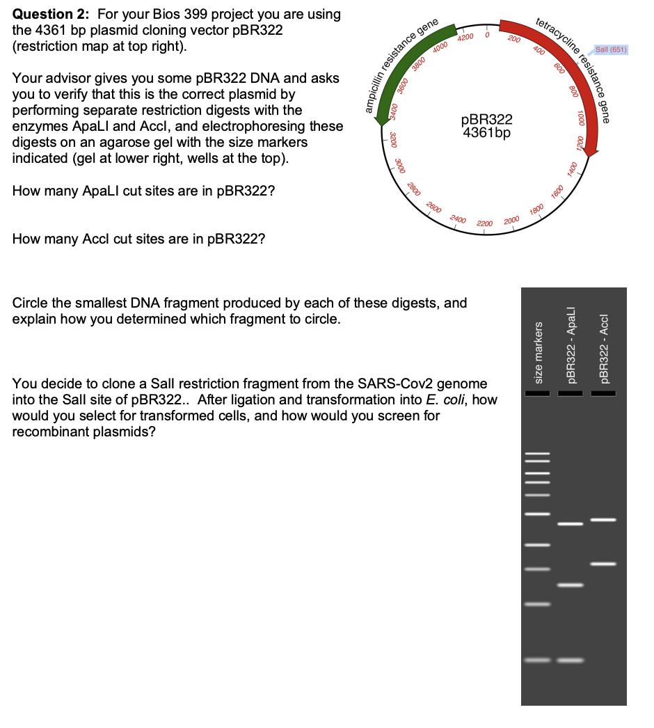 Solved Question 2: For your Bios 399 project you are using | Chegg.com