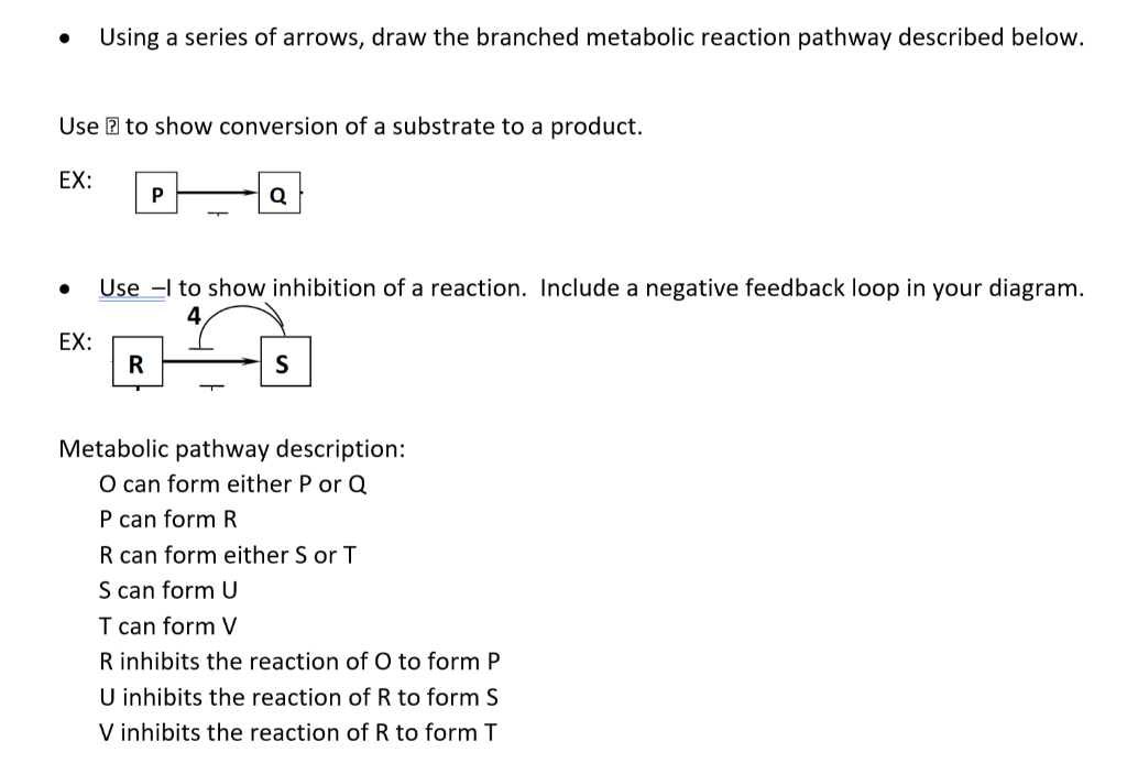 Solved Using a series of arrows, draw the branched metabolic | Chegg.com