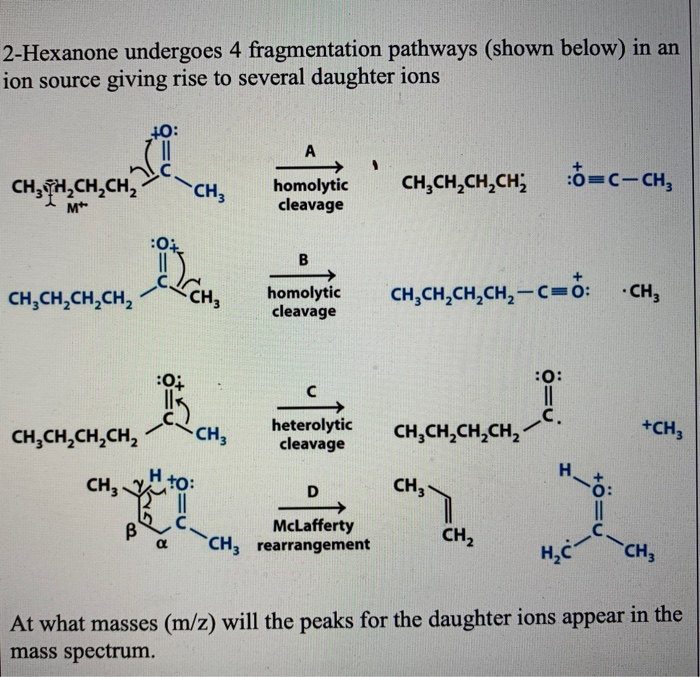 Solved 2-Hexanone undergoes 4 fragmentation pathways (shown | Chegg.com