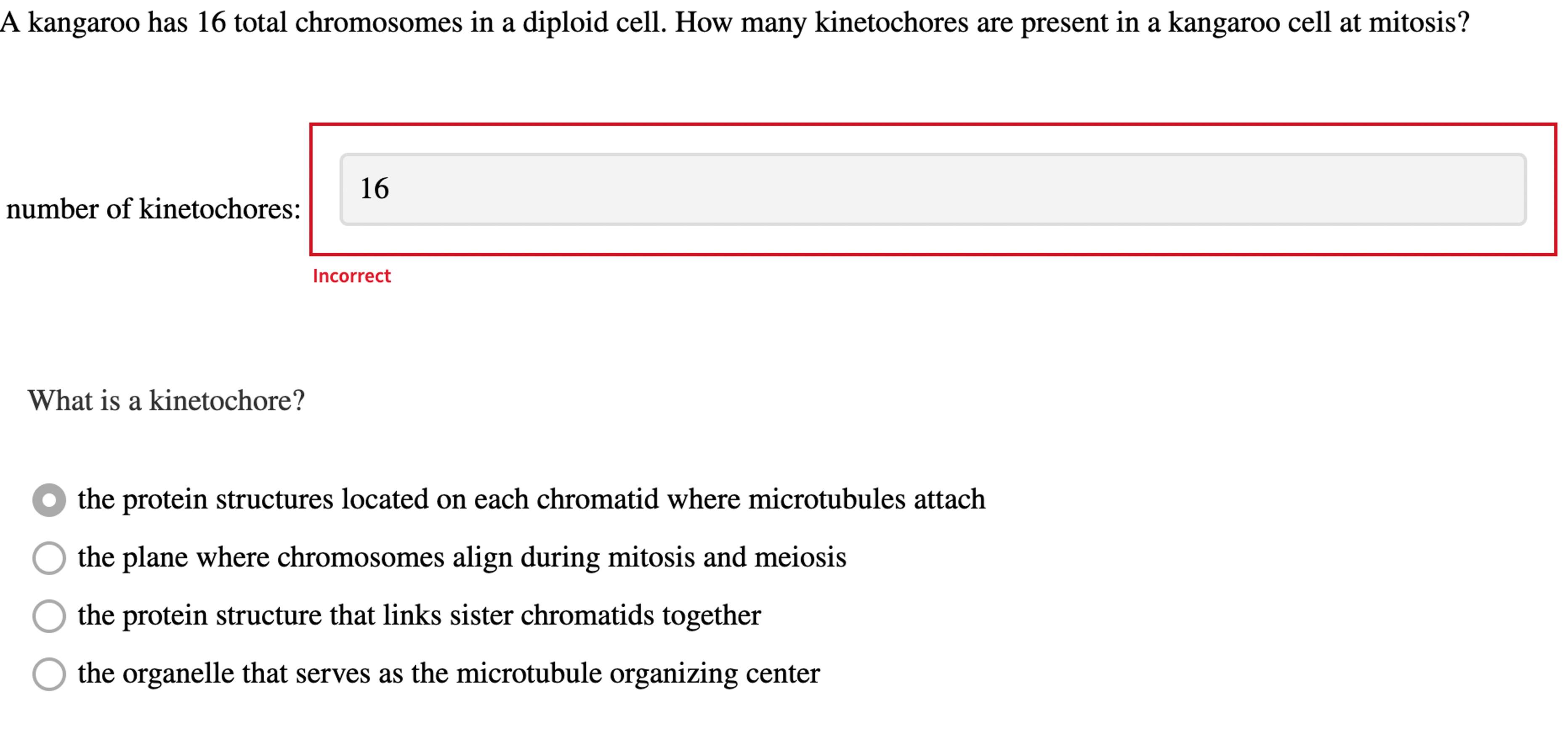Solved A kangaroo has 16 ﻿total chromosomes in a diploid | Chegg.com