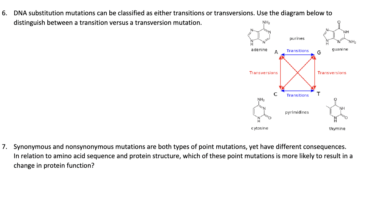 Solved DNA substitution mutations can be classified as | Chegg.com