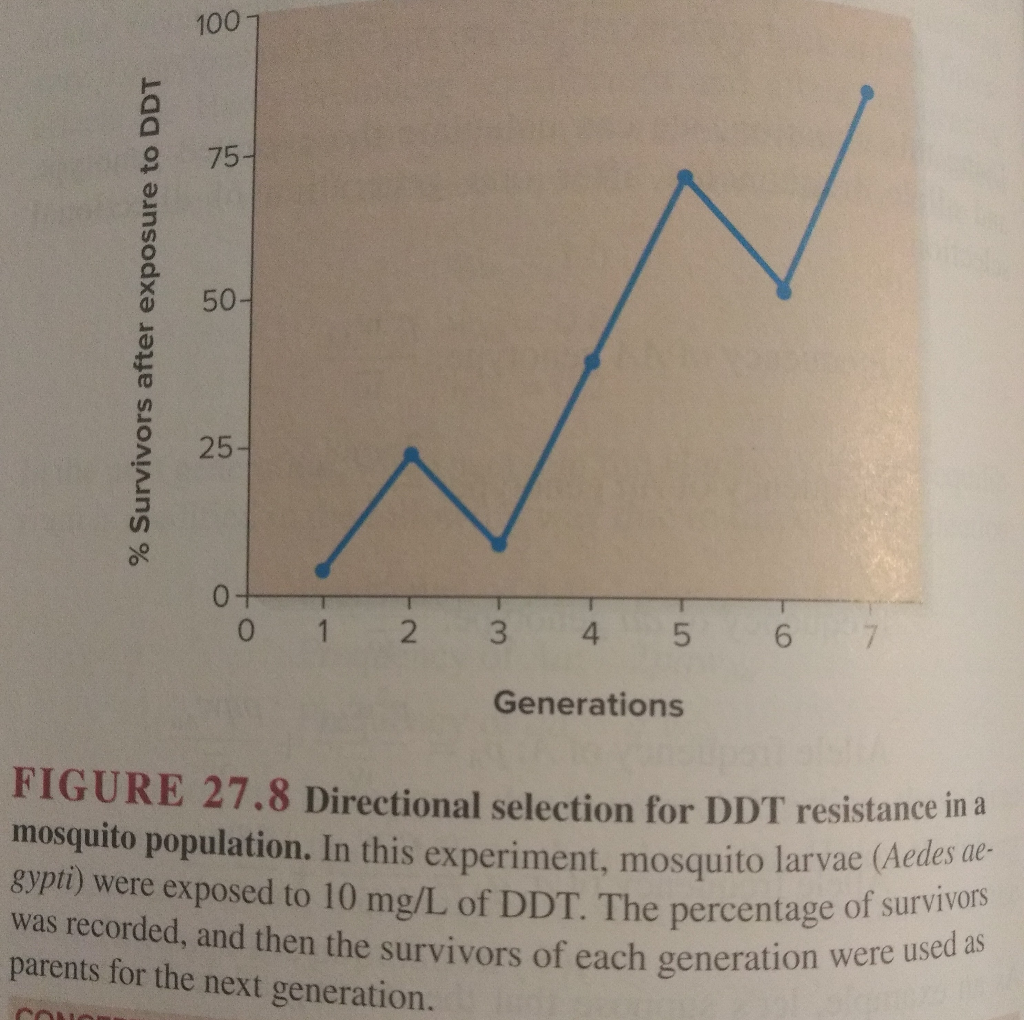 Consider an insect population that is exposed to DDT. | Chegg.com