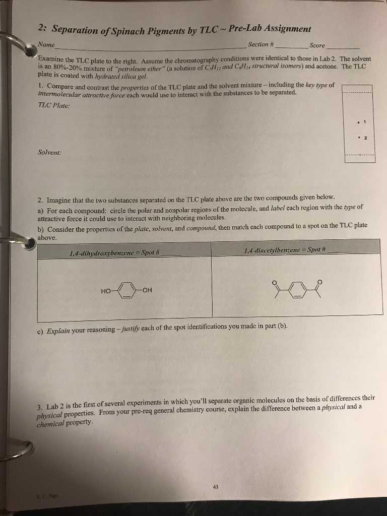 Solved Pre-Lab Assignment Separation of Spinach Pigments by | Chegg.com