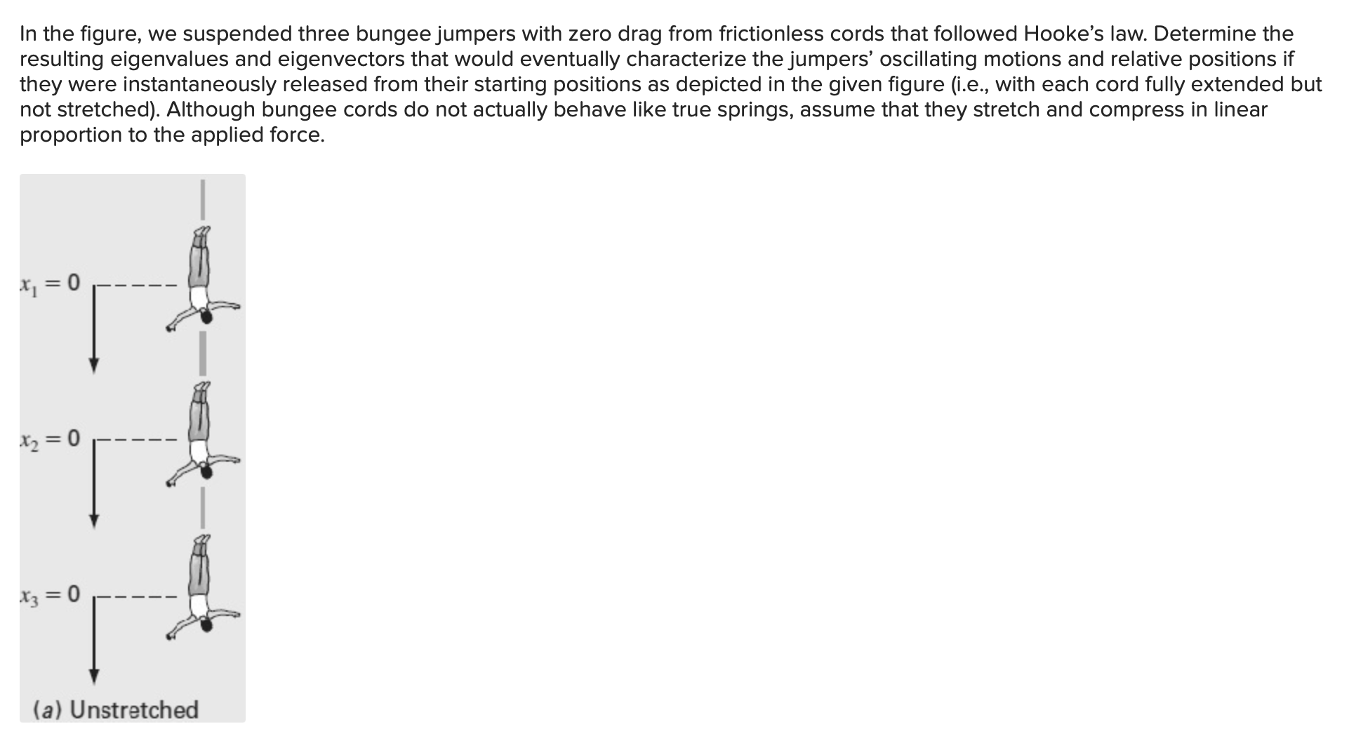 Solved In the figure, we suspended three bungee jumpers with | Chegg.com