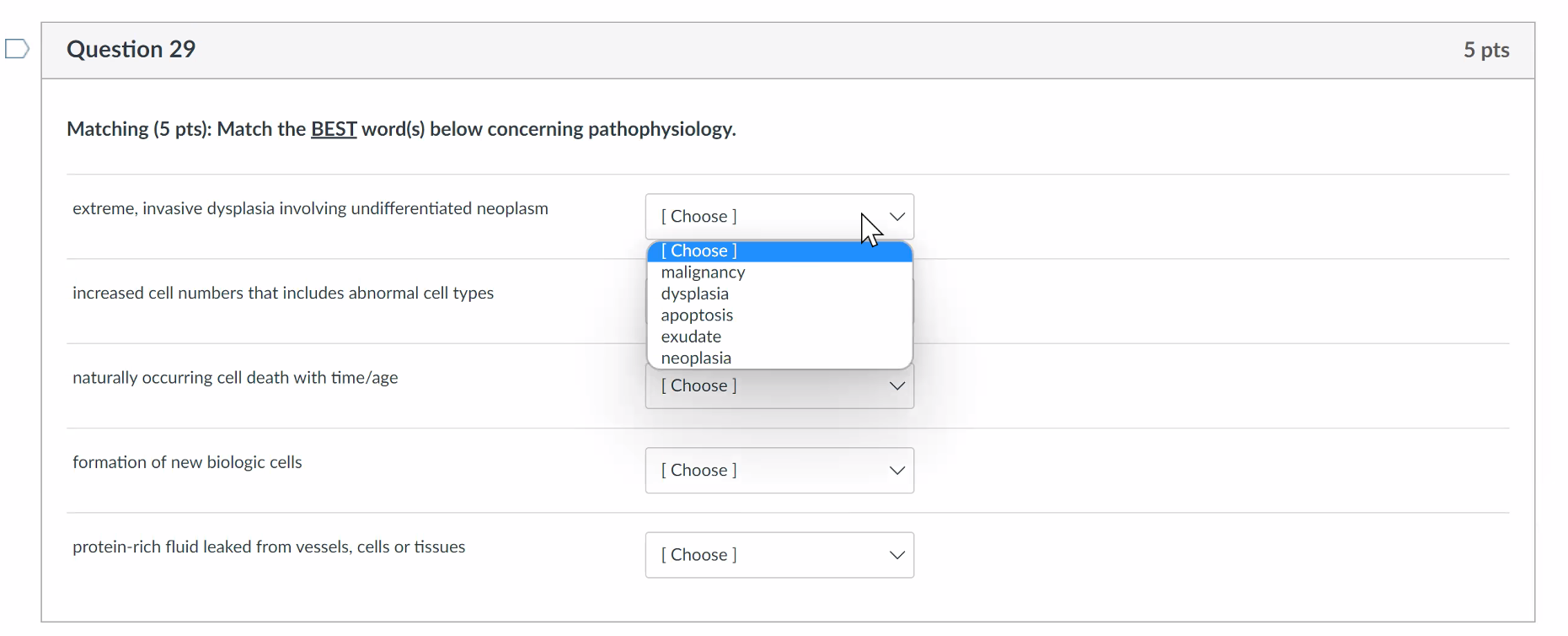 Solved Question 29 5 pts Matching (5 pts): Match the BEST | Chegg.com