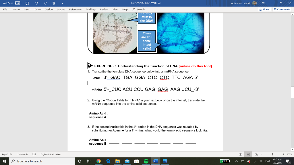 Solved Biol 127 2017 Lab 12 VIRTUAL mohammed alscidi - | Chegg.com
