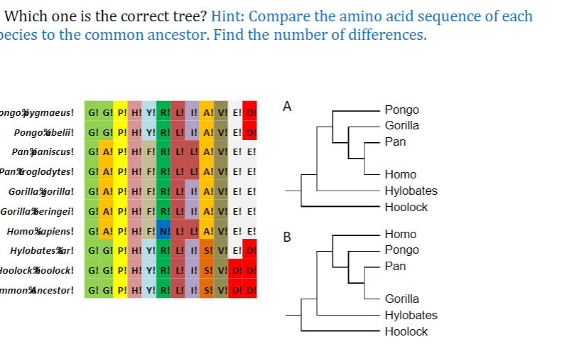 [Solved]: Which one is the correct tree? Hint: Compare the