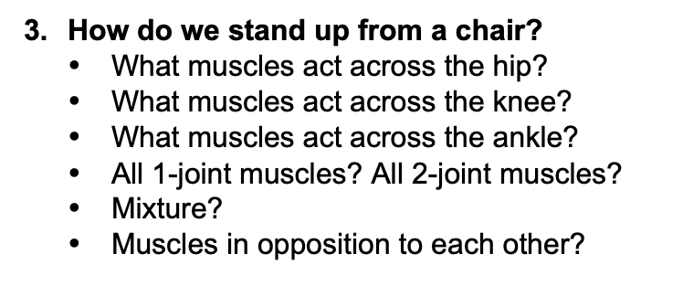 Solved 3. How do we stand up from a chair? . What muscles | Chegg.com