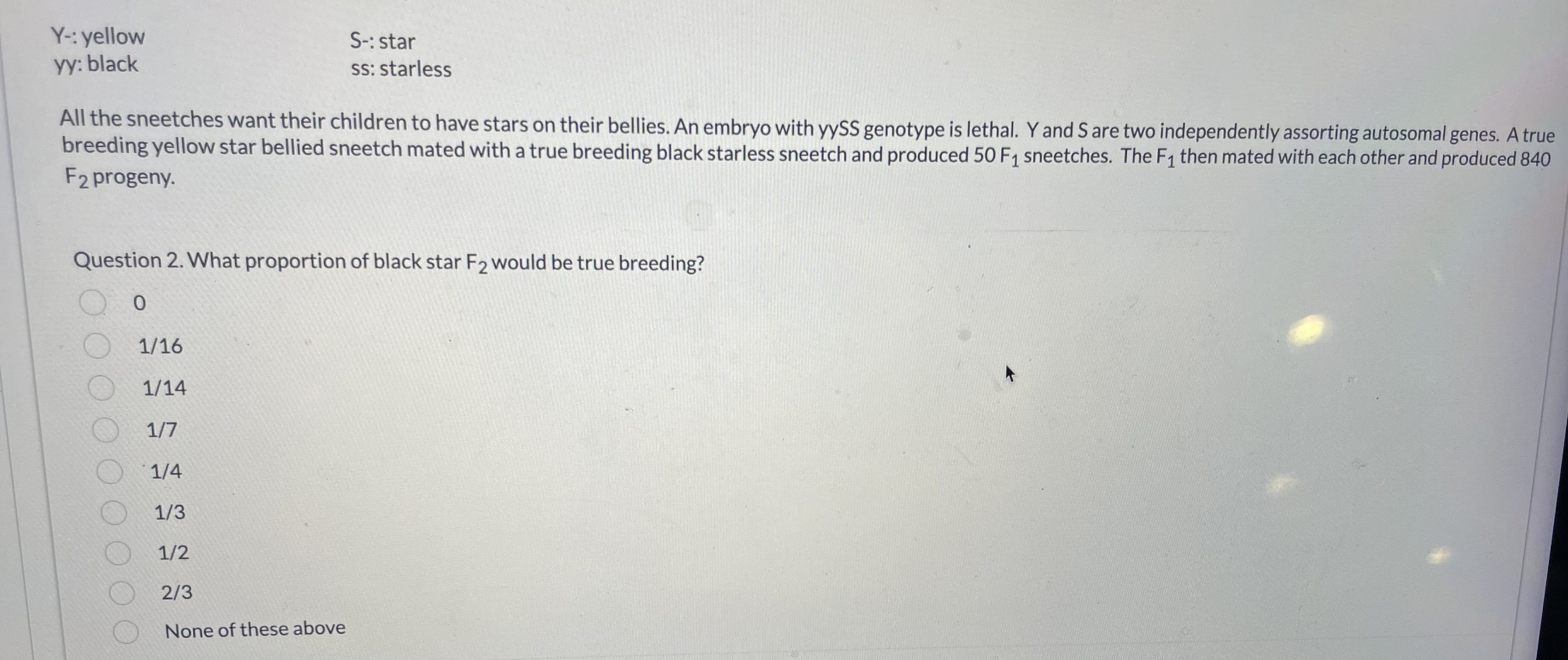 Solved Questions 2-4:Y-: yellowyy: blackS-: starss: | Chegg.com