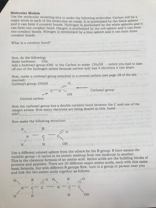 Solved Molecular Models Use the molecular modeling kits to | Chegg.com