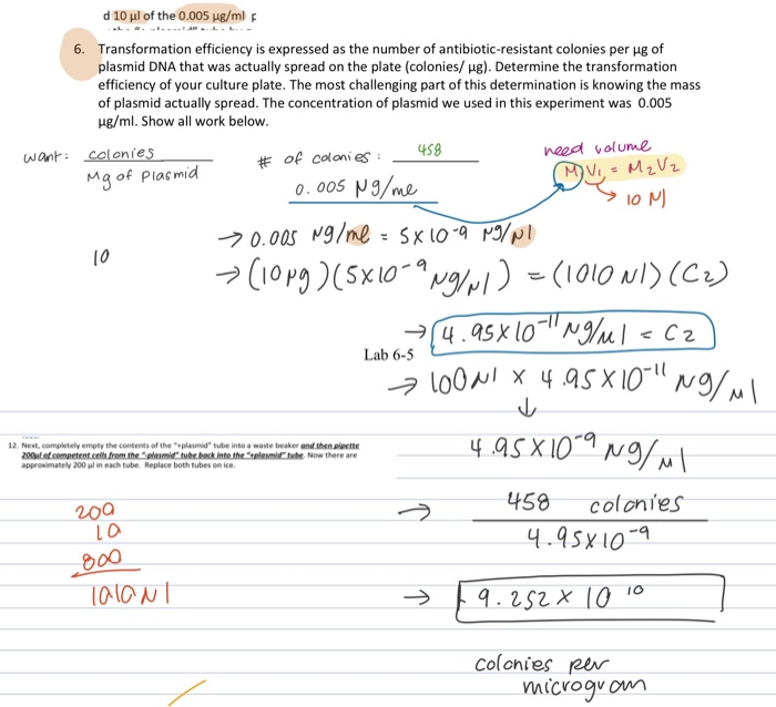 Solved can someone please help me properly understand this | Chegg.com