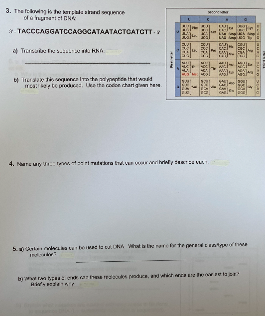 Answer question 3 a) b) check the sequence given and | Chegg.com