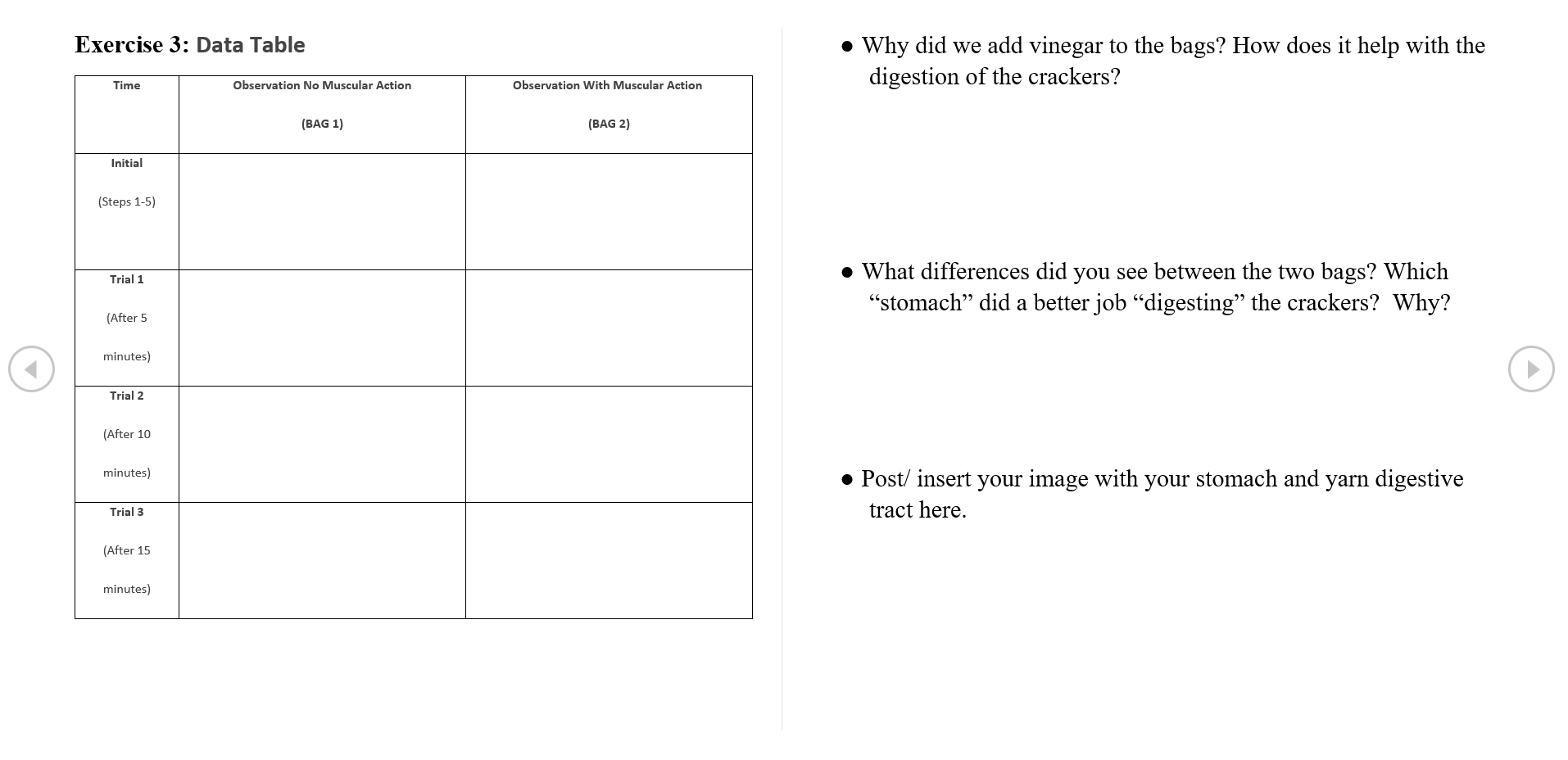 Lab Exercise 2 Title Nutrition Metabolism And Chegg