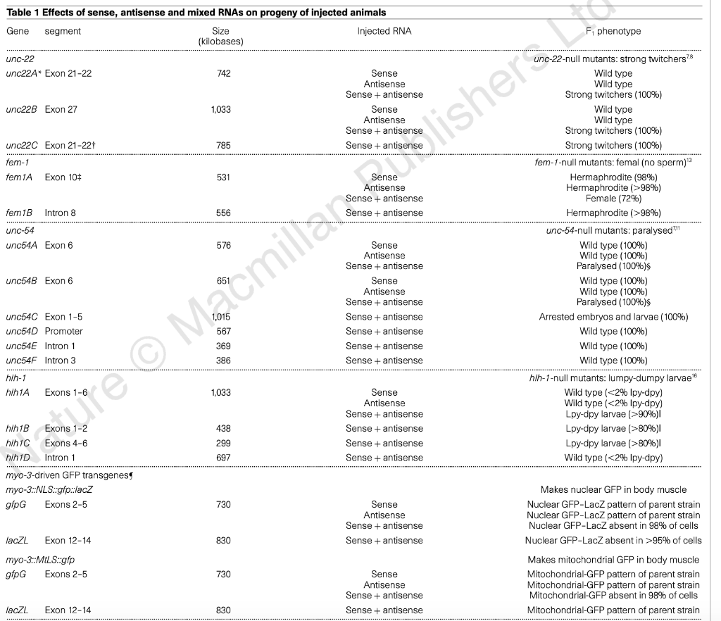 Solved What can you tell about the mechanism of RNA | Chegg.com