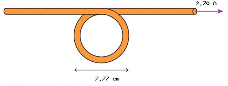Solved What is the magnetic field (in T) at the center of | Chegg.com