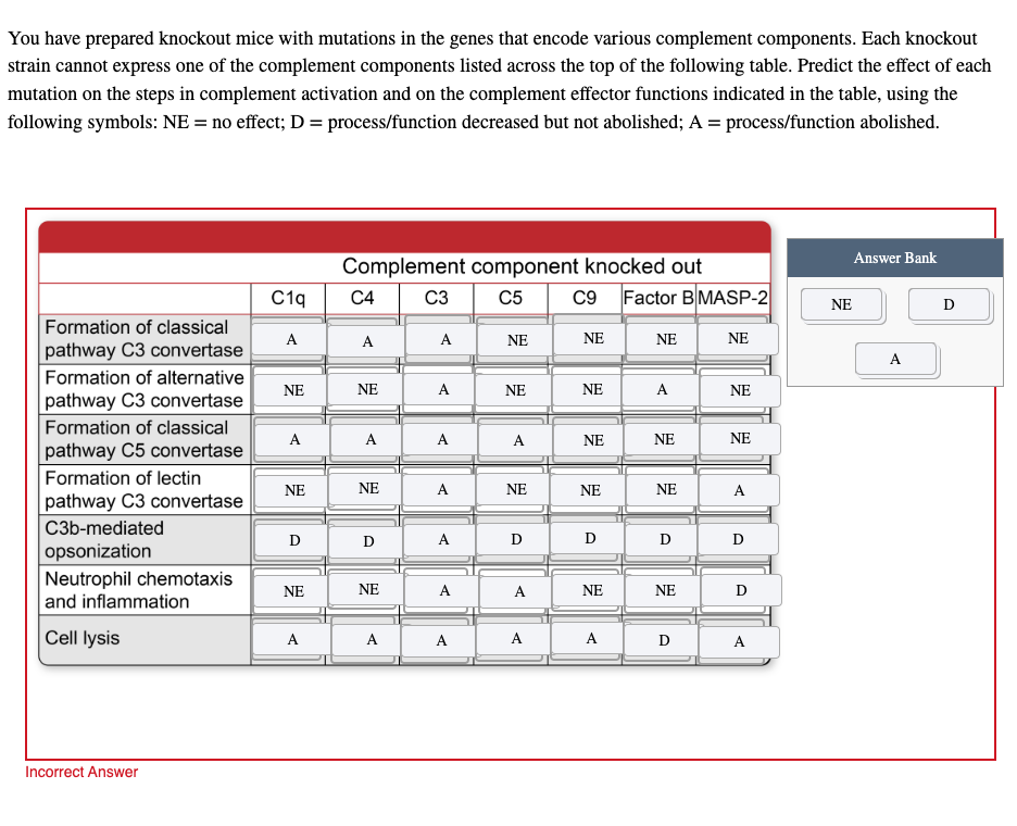Solved You have prepared knockout mice with mutations in the | Chegg.com