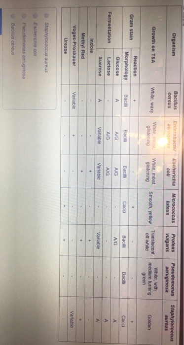 Solved Submit Hints My Answers Give Up Review Part art B | Chegg.com