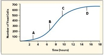 Solved Tell what type of growth model is depicted in the | Chegg.com