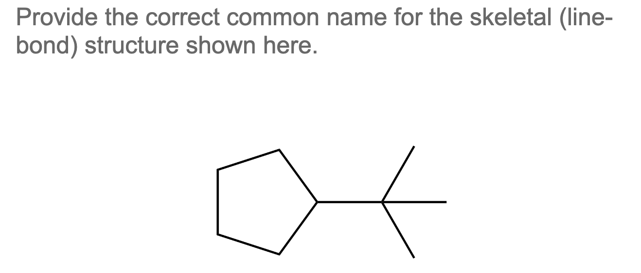 Solved Provide the correct common name for the skeletal | Chegg.com