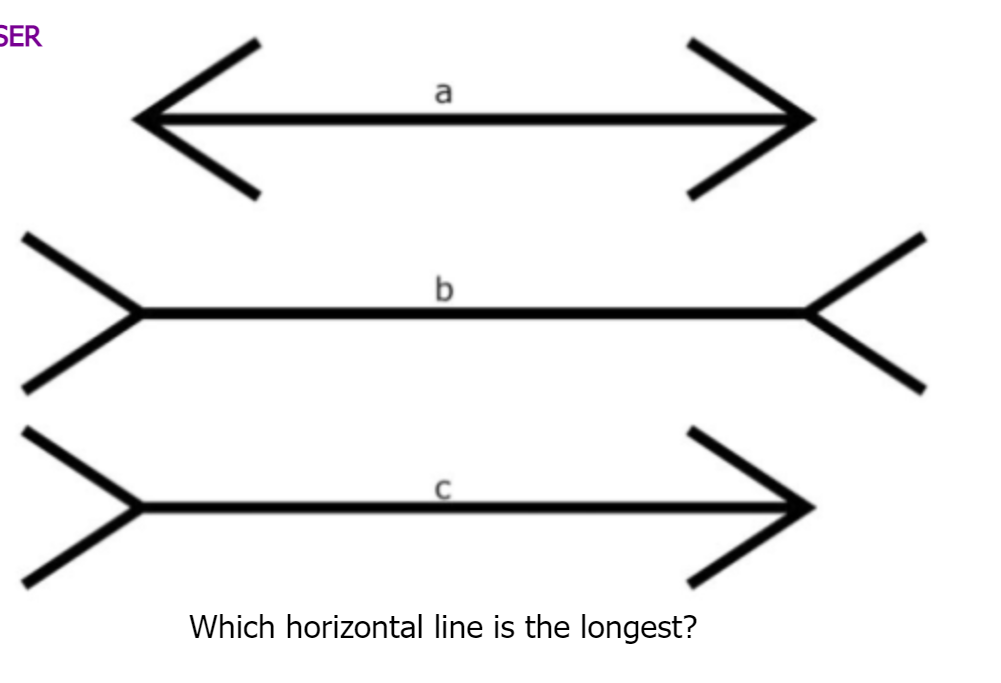 Solved b C Which horizontal line is the longest? | Chegg.com