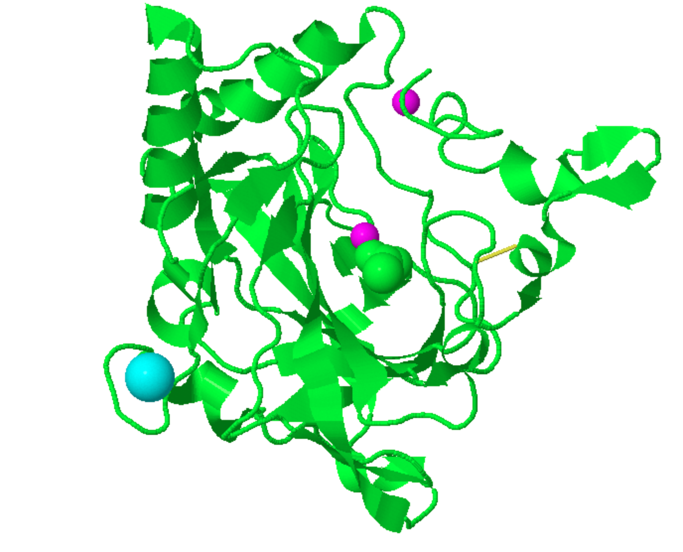 Solved What Types Of Helices Demonstrate This Structure