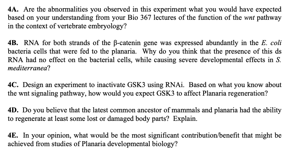 Solved 4A. Are the abnormalities you observed in this | Chegg.com