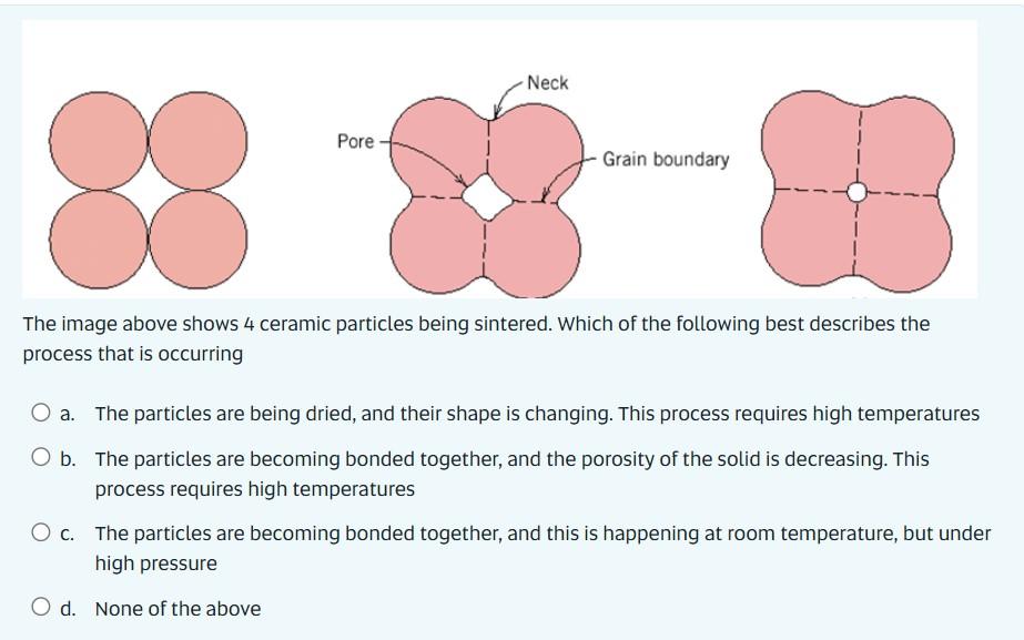 Solved Neck Pore Grain boundary The image above shows 4 | Chegg.com
