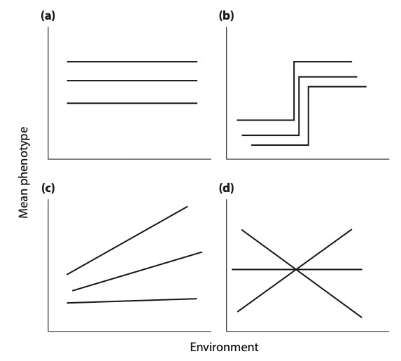Solved In each graph below, the Y-axis shows the phenotype | Chegg.com